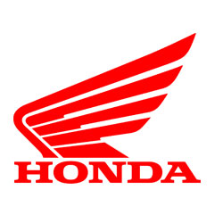 OBSC Perfection Limited